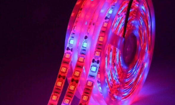 Meet Anthony Pullen Shaw: Everything About Angela Lansbury’s Son ...